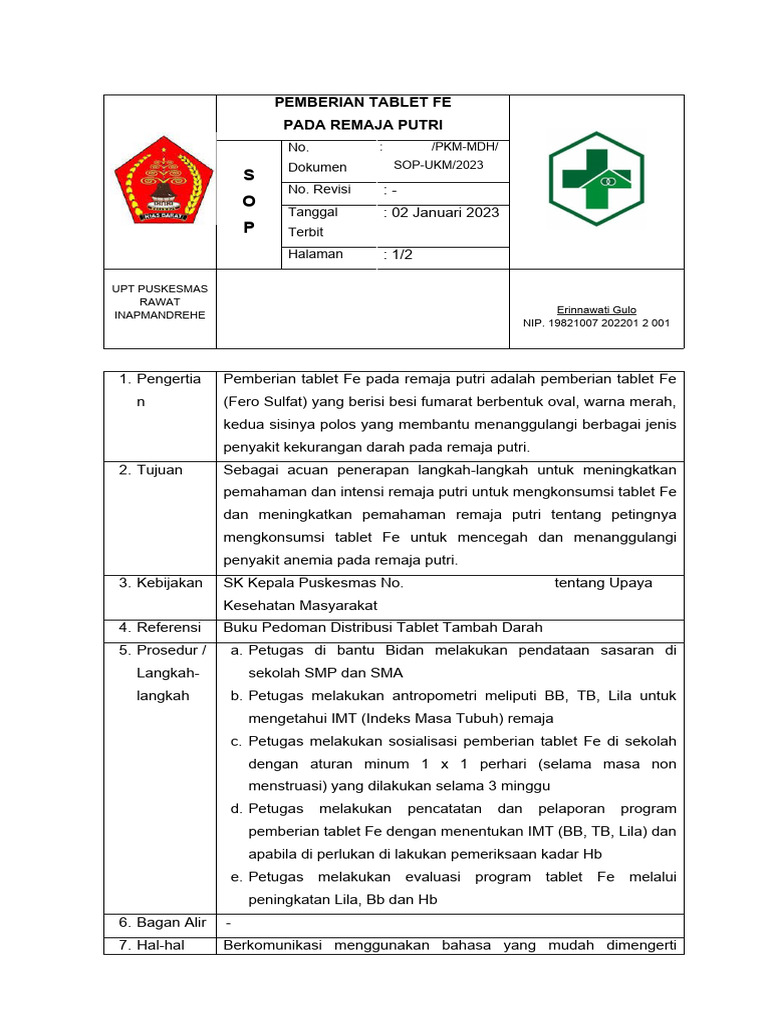 Tablet Fe Pada Remaja Putri | PDF