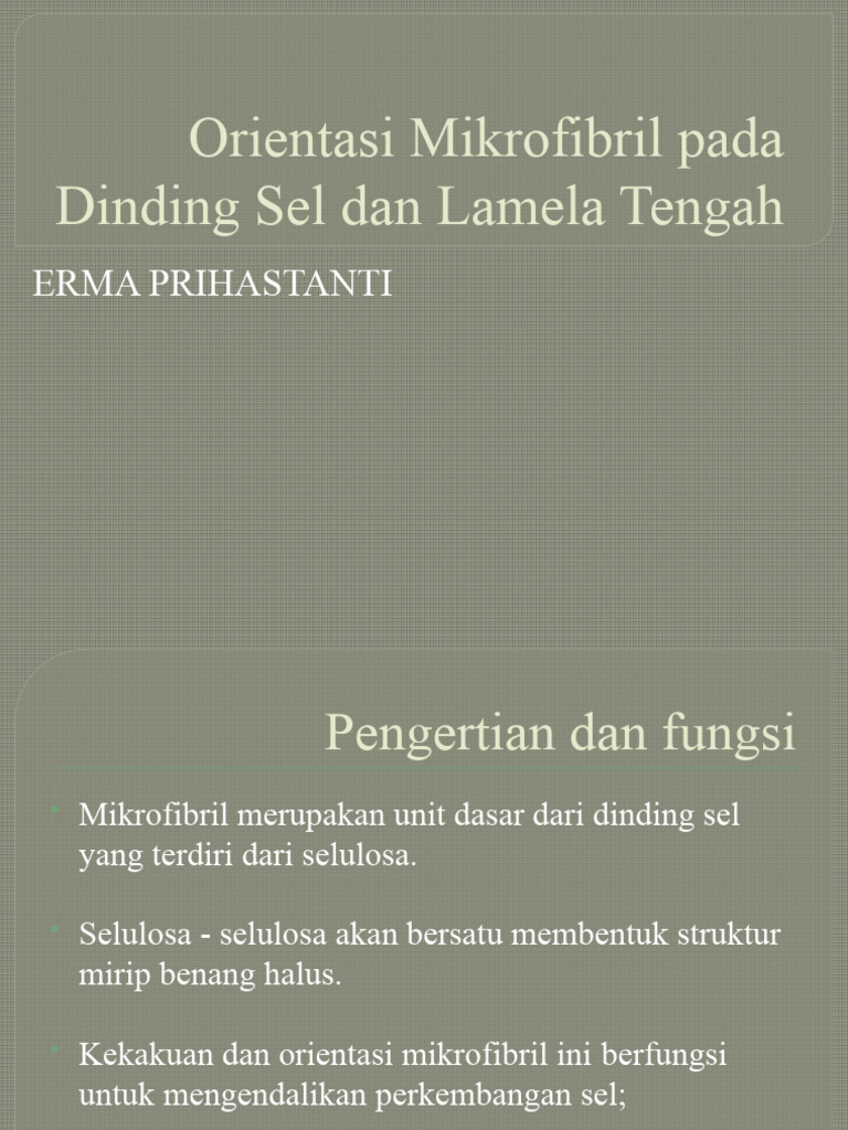Orientasi Mikrofibril dan Lamela Tengah | PDF | Sains & Matematika