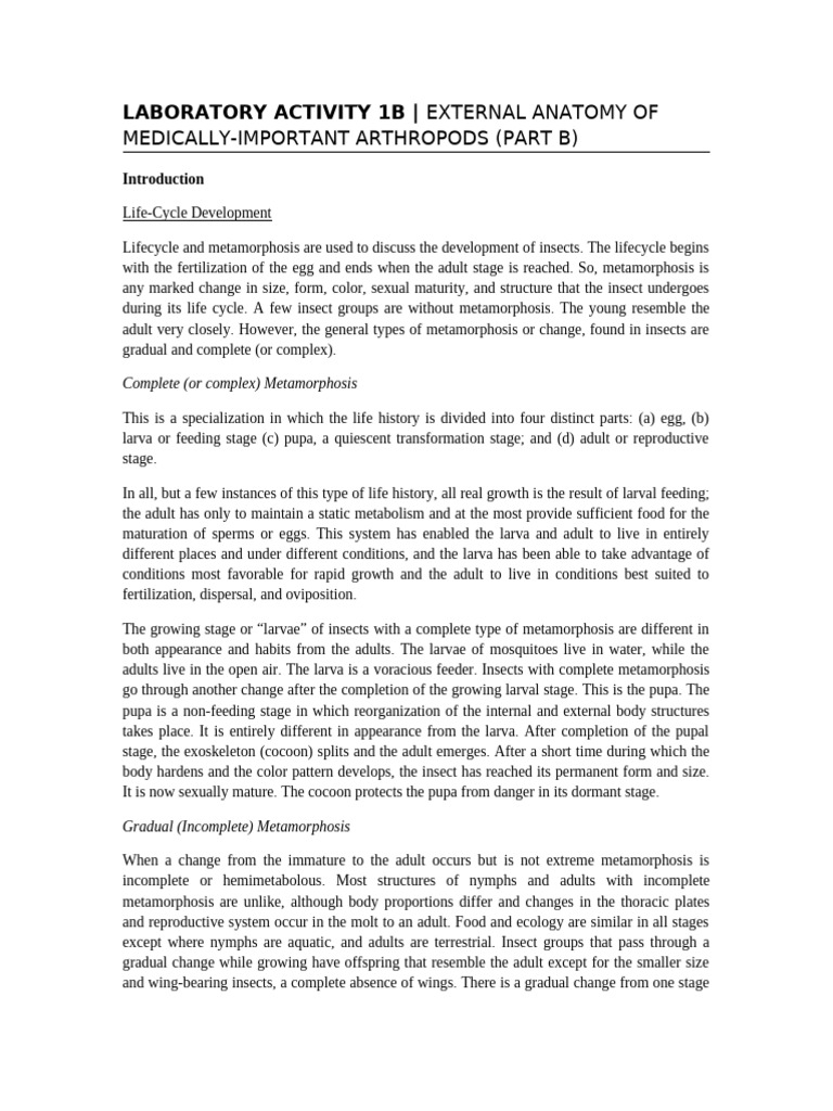 Medent Laboratory Activity 1B | PDF | Pupa | Insects
