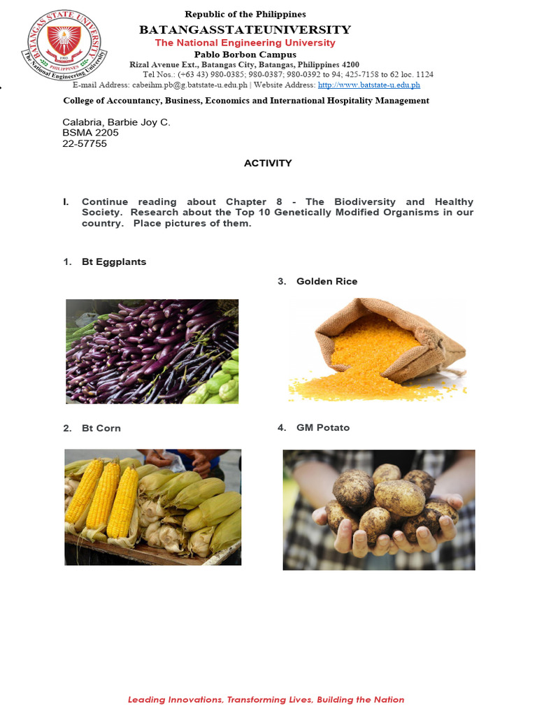 Sts Activity | Download Free PDF | Nanotechnology | Cancer