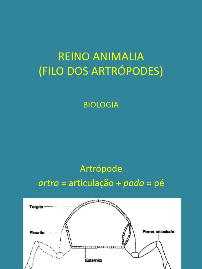 Artrópodes | PDF | Casa e Jardim | Bem-estar
