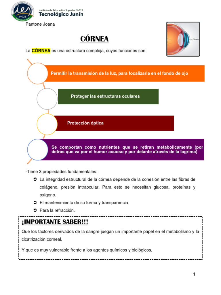 TPN°4 Análisis de La Córnea (Adapatación) Pantone Joana | PDF | Córnea | Epitelio