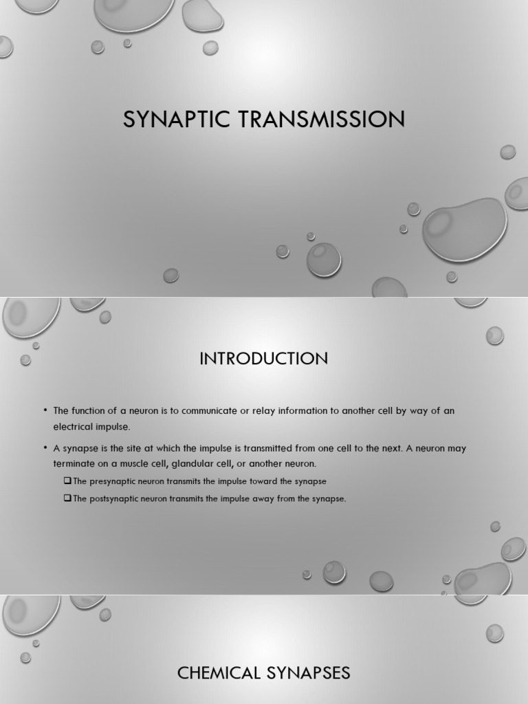 SYNAPTIC TRANSMISSION | PDF | Chemical Synapse | Inhibitory ...