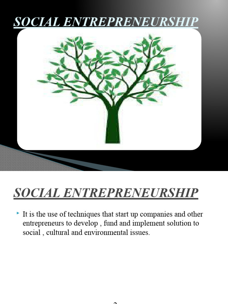 Understanding Social Entrepreneurship | PDF | Social Entrepreneurship ...
