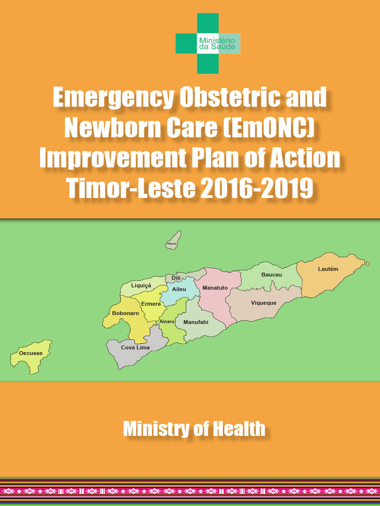 Emergency Obstetric and EmONC Improvement Plan of Action ENGLISH | PDF ...