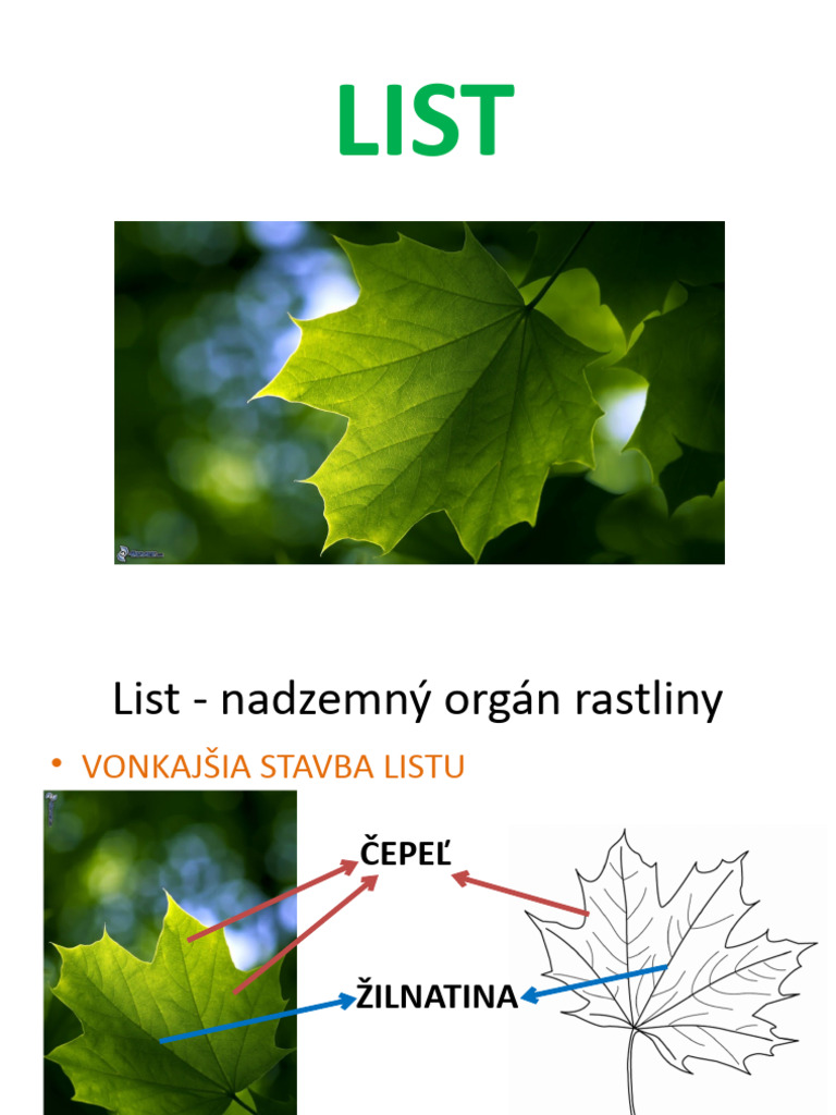 List | PDF