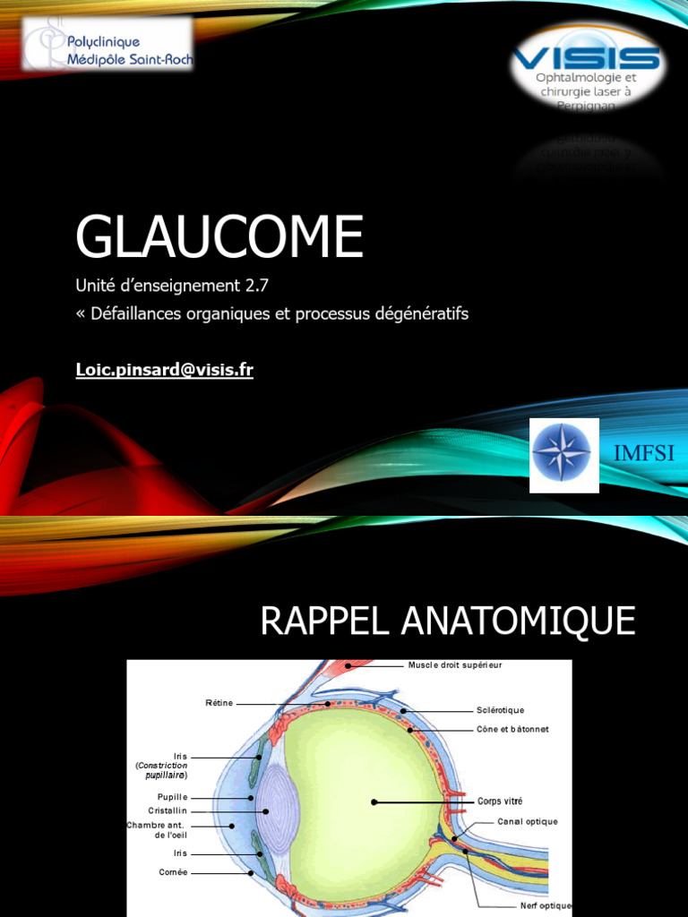 Glaucome : Définition et Traitements | PDF | Glaucome | Vision