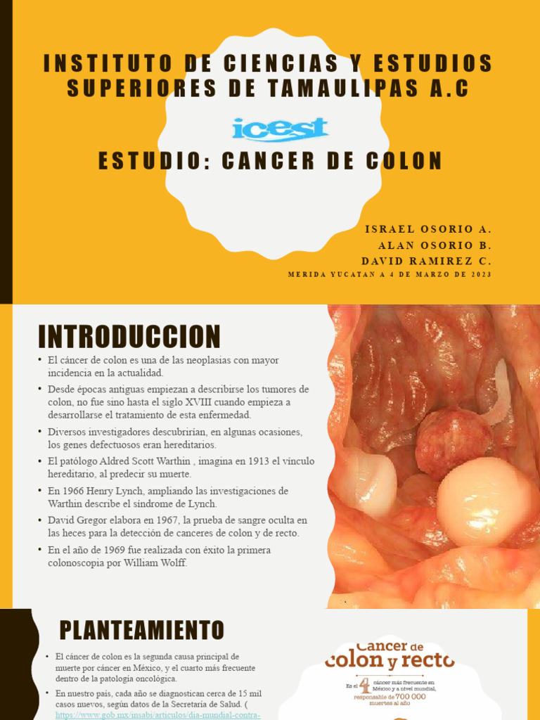 Cncer de Colon | PDF | Cáncer colonrectal | Cáncer