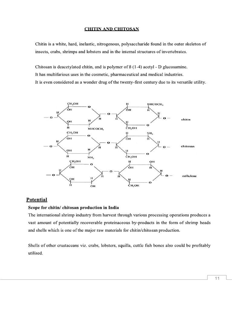 Chitin Chitosan | PDF