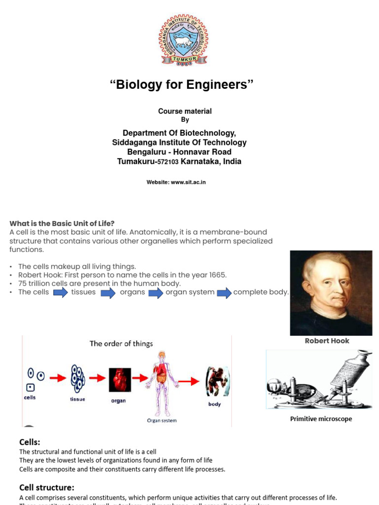 ISE Bio Mod1 1 | PDF | Cell (Biology) | Stem Cell