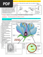Structure et parties d'une fleur | PDF | Pétale | Fleurs