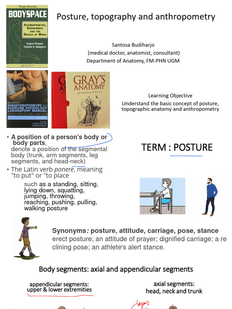 Posture and Anthropometry Basics | PDF | Anatomy | Abdomen