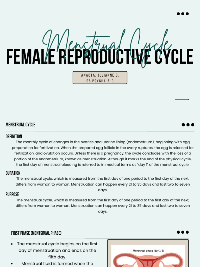 Menstrual Cycle | PDF | Menstrual Cycle | Ovary
