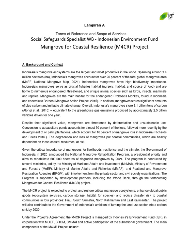 TOR-Social Safeguards SPC | PDF | Mangrove | Ecological Resilience