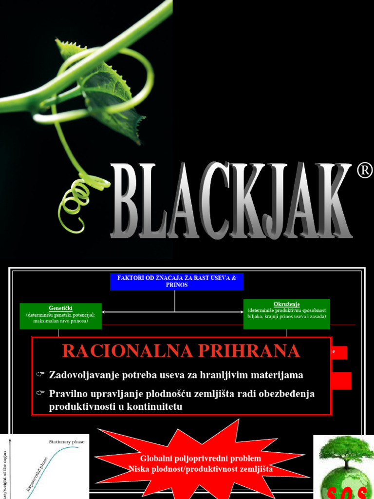 Blackjak 2016 SRB Sa Korekcijama Plus 5 Slajdova | PDF