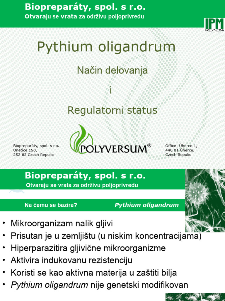 Prezentacija 35 Slajdova Polyversum | PDF