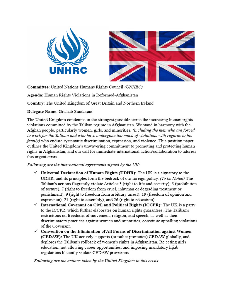UK Position Paper | PDF | Human Rights | Government