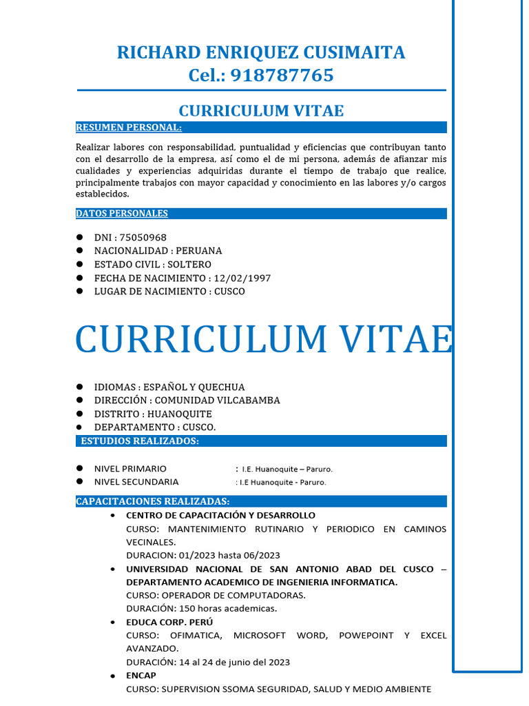 Cv Ejemplo | PDF