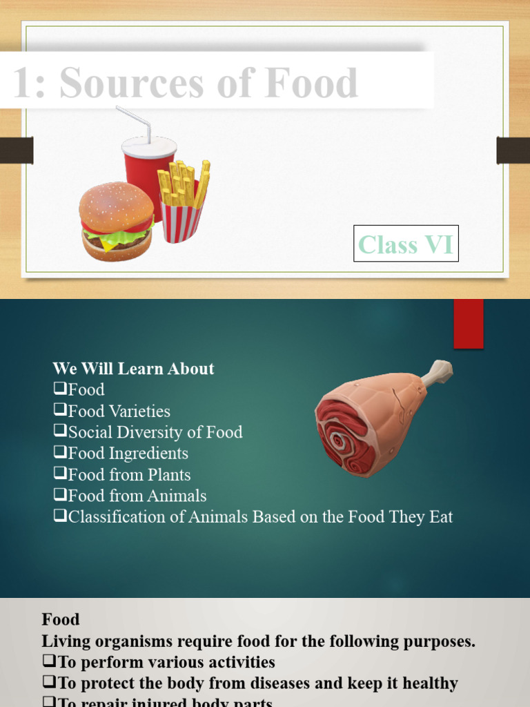 Sources of Food for Class 6 Science | PDF | Foods | Cuisine