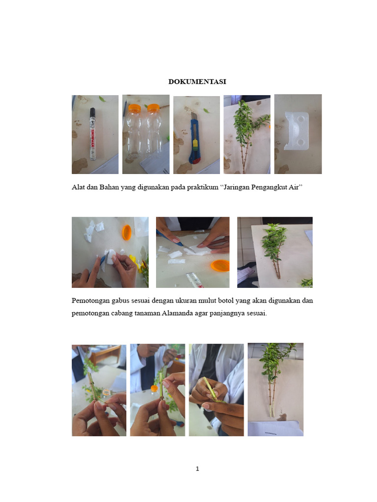 Lampiran Laprak 3 Fistum Mek Salinan | PDF