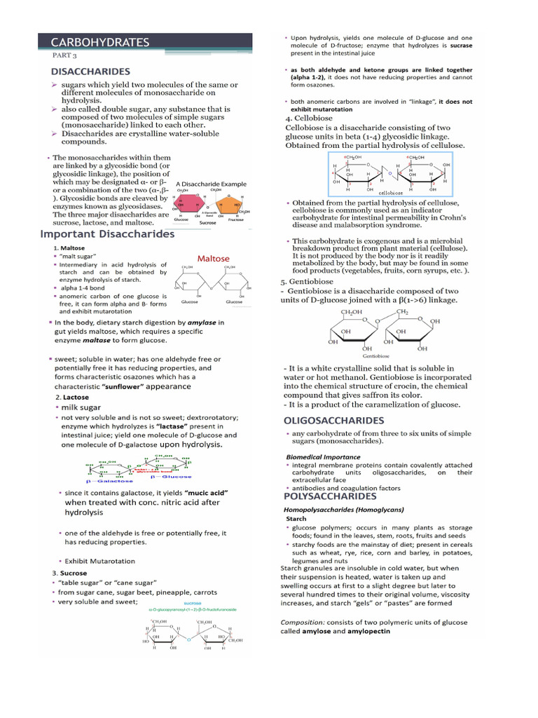 Biochem 101 Midterm Part3 (1) | PDF | Amino Acid | Proteins Biochem 101 Midterm Part3 (1) | PDF | Amino Acid | Proteins