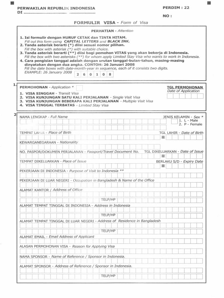 Visa Form | PDF
