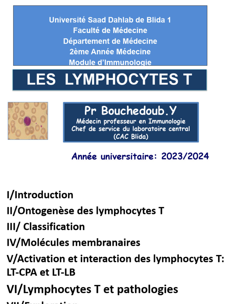 Lymphocytes T : Ontogenèse et Fonction | PDF | Lymphocyte T | Système ...