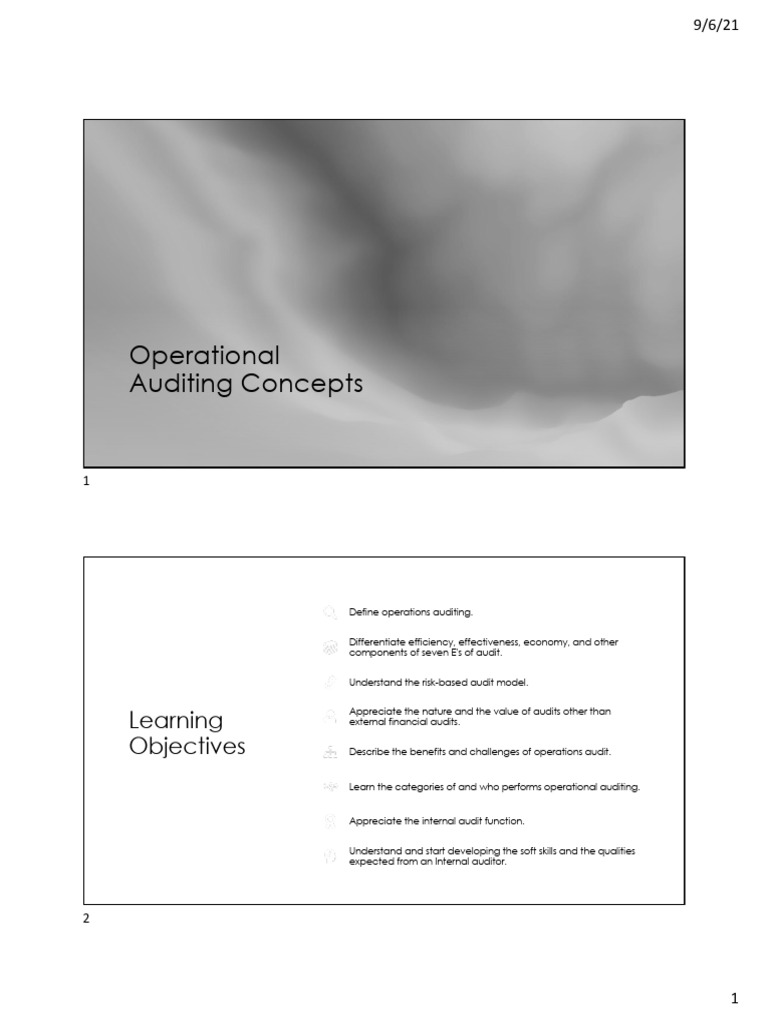 Operations Auditing Concept | PDF | Audit | Internal Audit