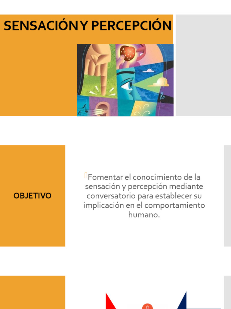 Ppt 13 Sensación y Percepción | PDF | Sentidos | Percepción
