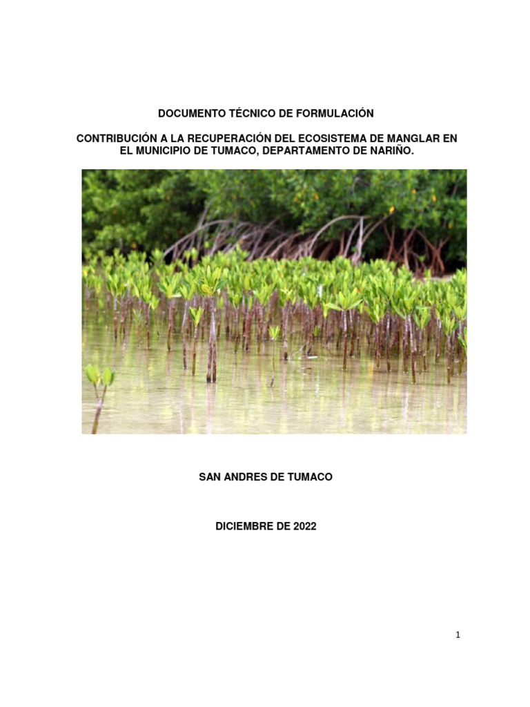 Informaión Técnica Manglar | PDF | Siembra | Los bosques