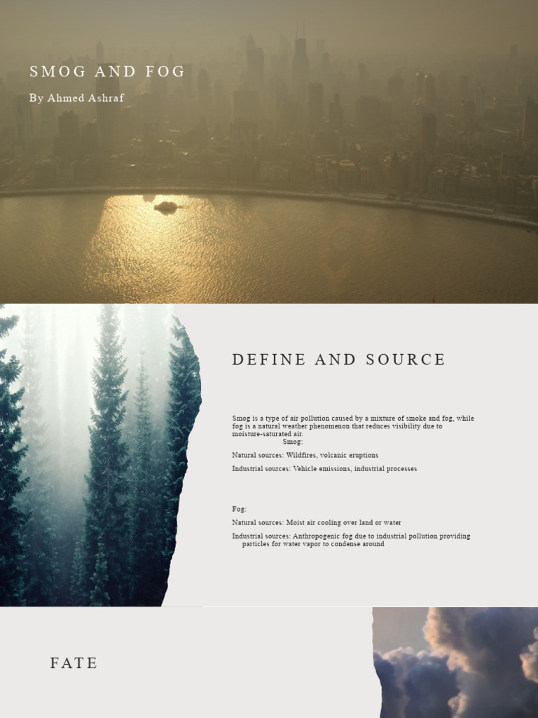 Smog and Fog | PDF | Air Pollution | Smog
