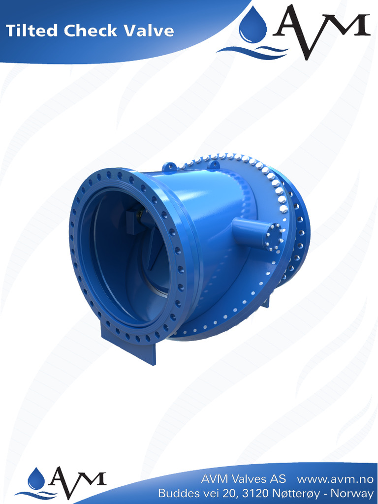 AVM Tilted Check Valve Leaflet | PDF | Valve | Materials