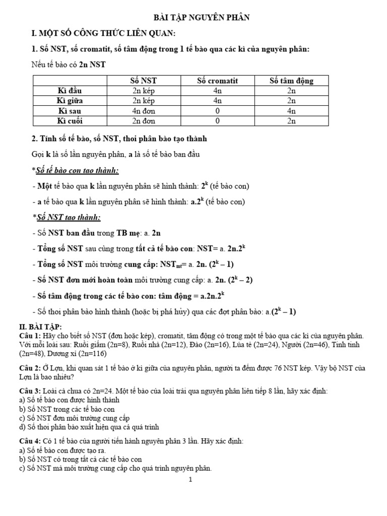 BT Nguyên Phân | PDF