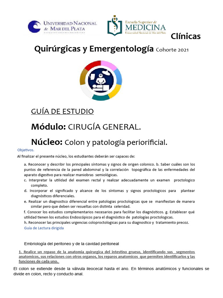 Guía de Estudio: Cirugía General y Colon | PDF | Hemorroides | Cáncer ...