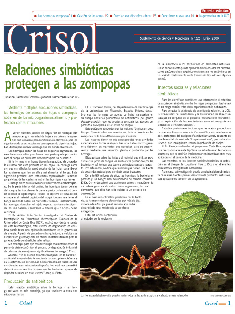 Relaciones Simbioticas Protegen A Las Hormigas | PDF | Hormiga ...