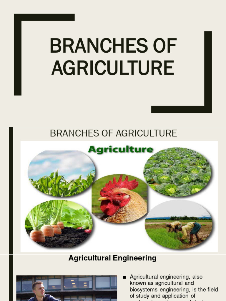 Branches of Agriculture Overview | PDF | Agriculture | Agronomy