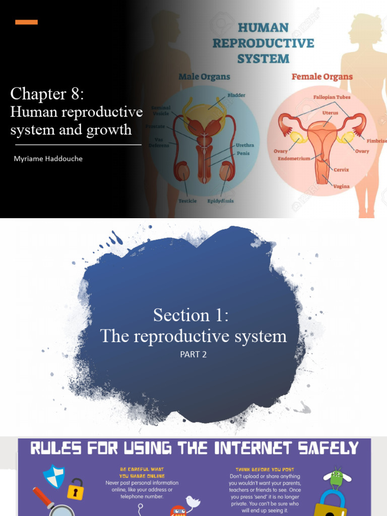 Chapter 8 Section 1 - The Reproductive System Part2 | PDF | Semen | Sperm Chapter 8 Section 1 - The Reproductive System Part2 | PDF | Semen | Sperm