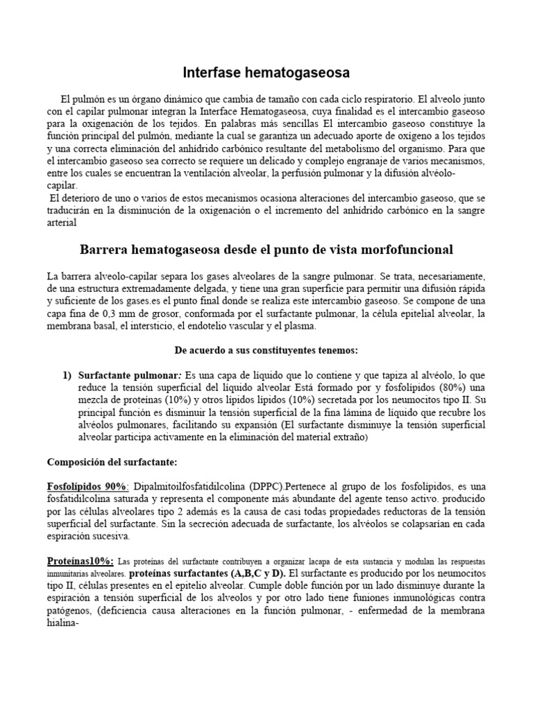 Interfase Hematogaseosa | PDF | Pulmón | Sistema respiratorio