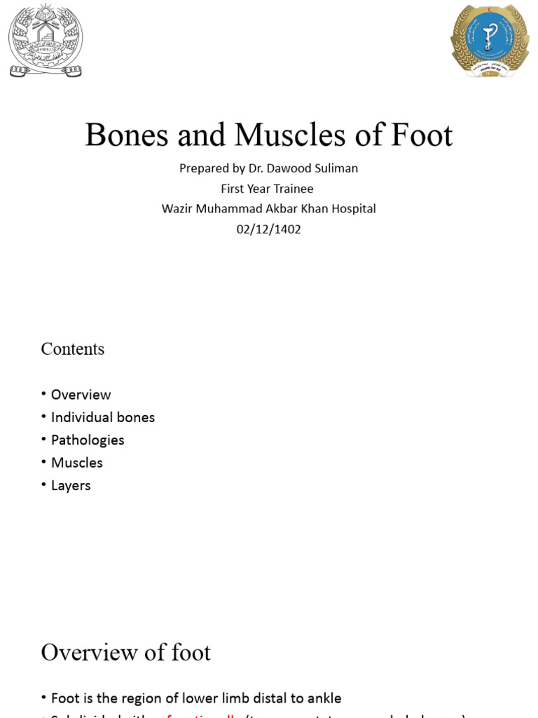 Bones and Muscles of Foot | PDF | Foot | Human Anatomy