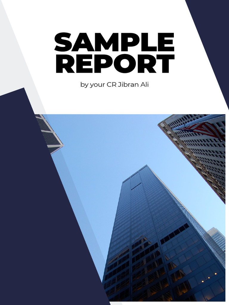 Sample Report by Jibran Ali - 240201 - 121500 | PDF | Non Governmental Organization | Empathy