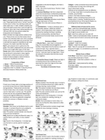 Lamb Meat Yield and Cutting Guide | PDF | Lamb And Mutton | Animal Killing