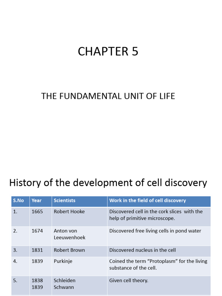 Class 9 CH-5 THE FUNDAMENTAL UNIT OF LIFE | PDF | Endoplasmic Reticulum ...