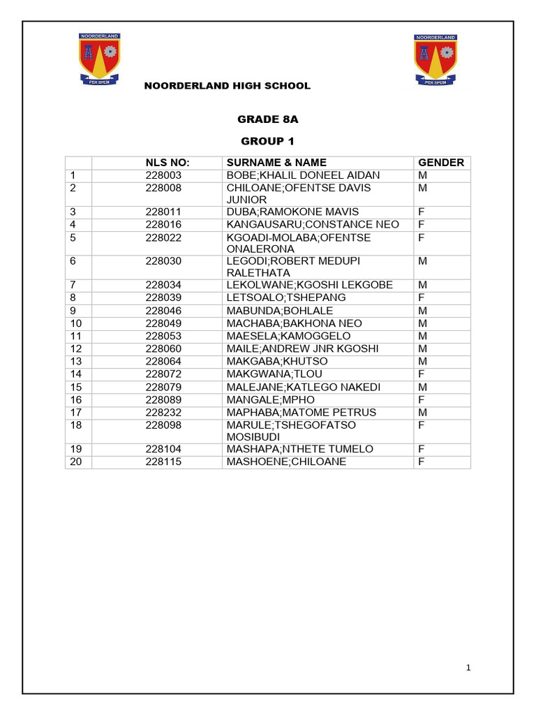 Noorderland High Grade 8 Student List | PDF