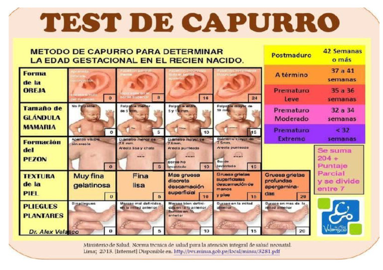 Test Capurro | PDF