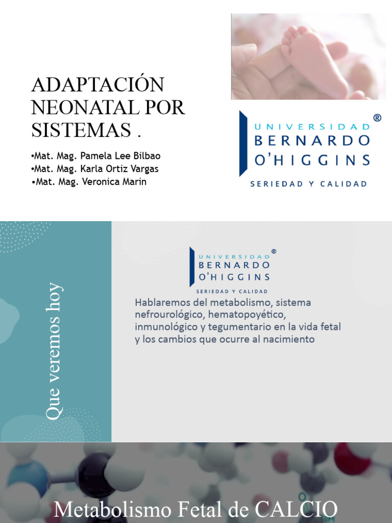 Adaptación Neonatal X Sistemas 2023 | PDF | Feto | Glucógeno