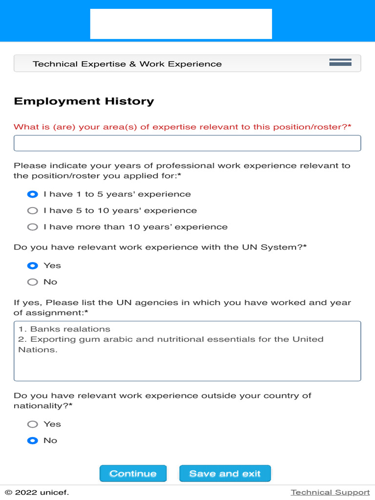 UN Employment Experience Questionnaire | PDF | Business