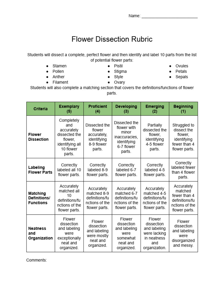 Flower Dissection Rubric | PDF | Zoology | Medicine