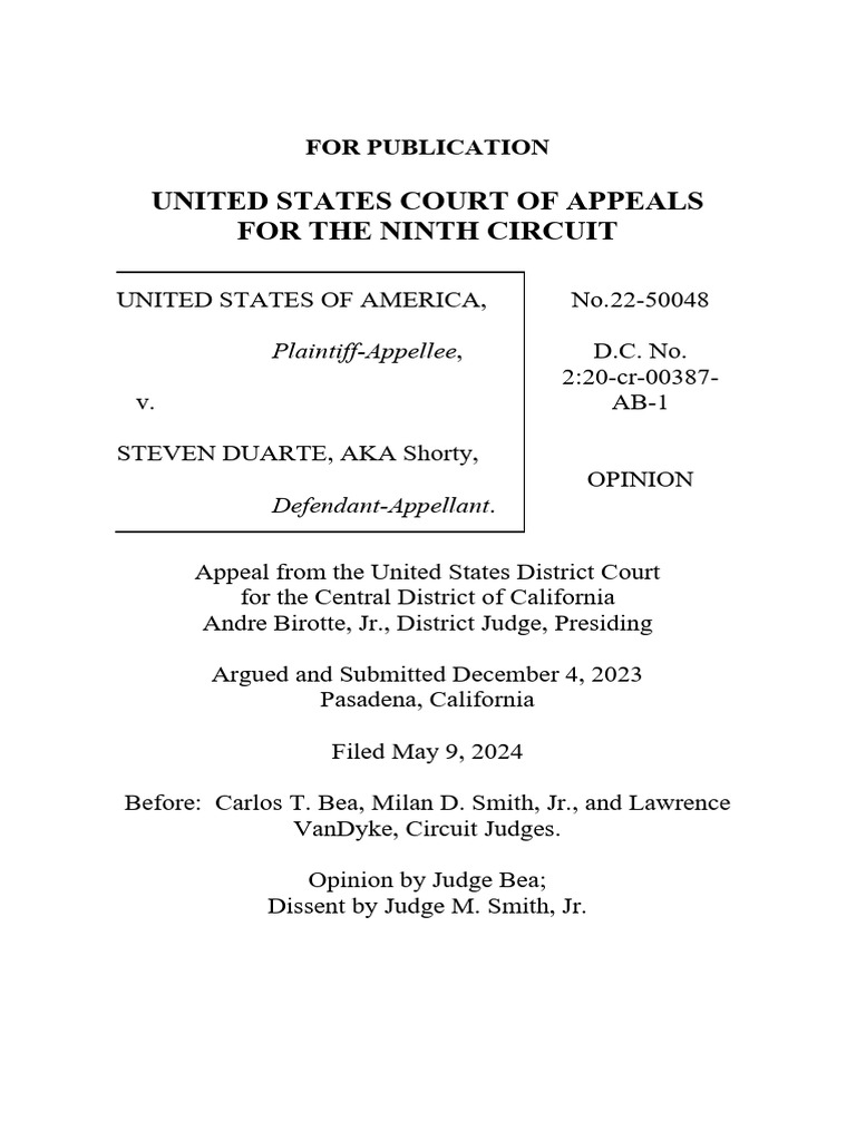 Court Finds Convicted Felons Have Second Amendment Rights | PDF ...