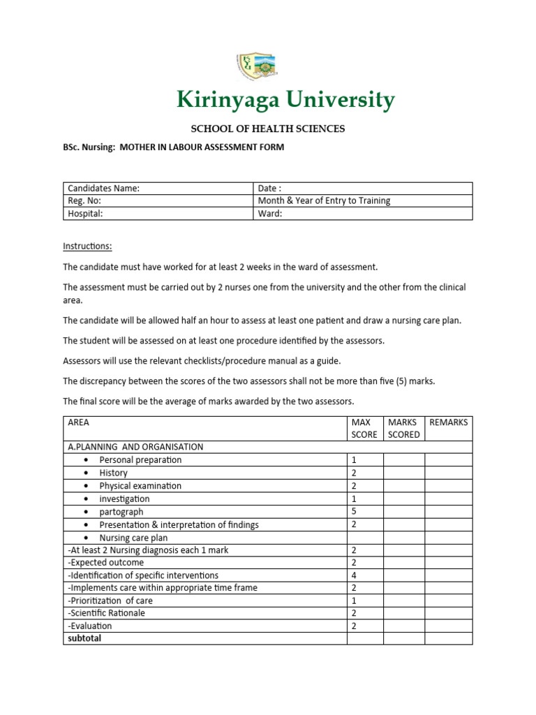 BSCN - MOTHER IN LABOUR ASSESSMENT FORM - 2023 - 025905 | PDF ...