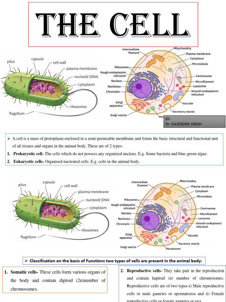 General Histology | PDF | Endoplasmic Reticulum | Cell (Biology)
